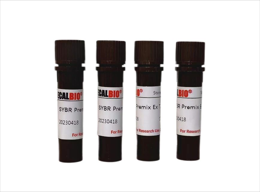 SYBR Green/SYBR Premix Ex Taq Kit,Ecalbio_specification/price/image_Bio ...