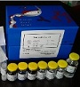 Human Total bile acide ELISA Kit,TBA elisa kit,Sunlong Biotech Co.,LTD ...