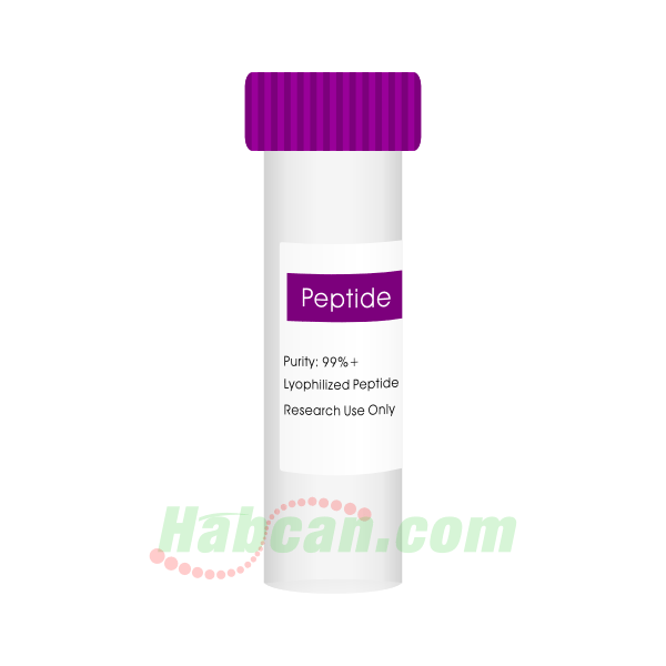 Short peptide / dipeptide / Z-Peptide / Boc Peptide / Fmoc Peptide ...