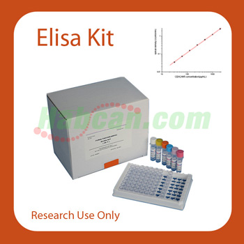 Porcine Elisa Kit / ANP / ACTH / FBG / CNTF / IGFBP-7 / IGF-2 / CTSK ...