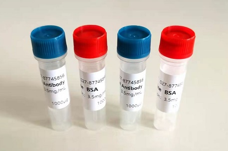 4-Furaltadone metabolite metabolite Antibody,Ecalbio_specification ...