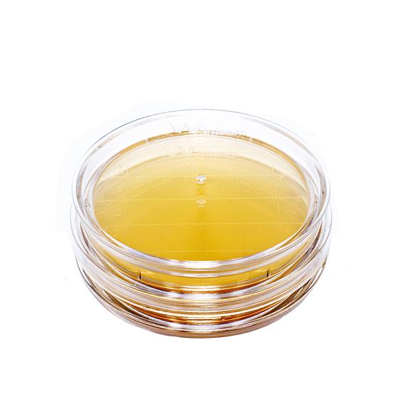 Contact Plate with pre-filled culture medium,Hangzhou winteam ...