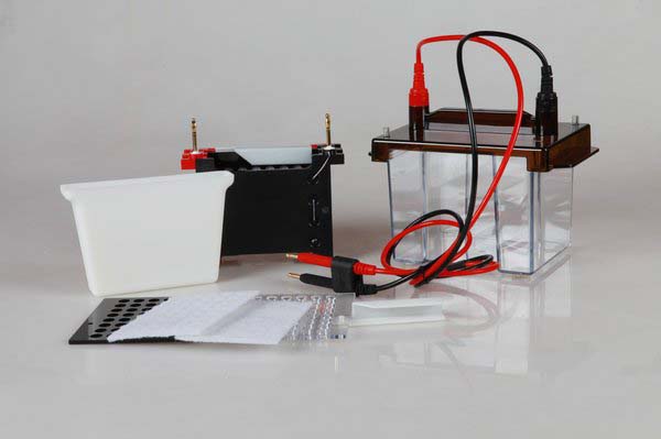 VE-186 Mini Blotting Electrophoresis Cell,tanon_specification/price ...