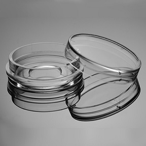 Glass Bottom Cell Culture Dish & Plates,Wuxi Nest Biotechnology Co ...