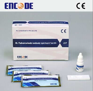 fetal fibronectin (fFN) rapid test/pregnancy diagnosis test / urine ...