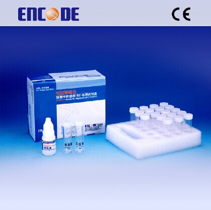 Bacterial Vaginosis Test