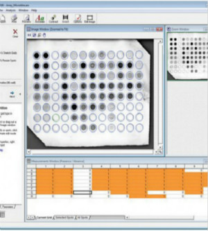 TotalLab Quant,cleaver_specification/price/image_Bio-Equip in China