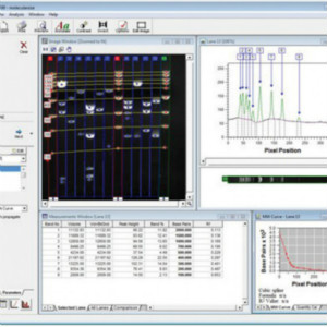 TotalLab 1D,cleaver_specification/price/image_Bio-Equip in China