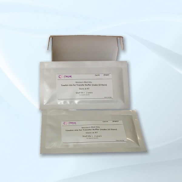 Electroblotting Transfer Buffers,cleaver_specification/price/image_Bio ...