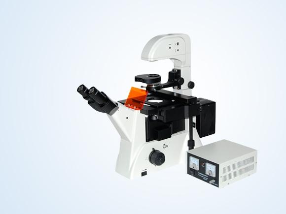 Inverted Epi-fluorescence Microscope MF52,Guangzhou Micro-shot ...