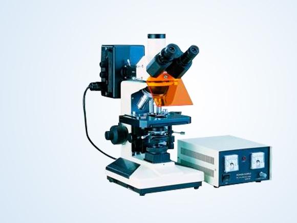 Fluorescence microscope MF20,Guangzhou Micro-shot Technology Co., Ltd ...