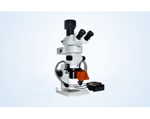 Stereo fluorescence microscope,specification,price,image-Bio-Equip in China