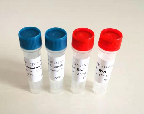 RNAscope® 2.5 LSx Reagent Kit-RED,Bio-Techne Corporation_specification ...