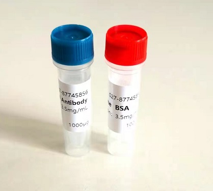 Kitasamycin Monoclonal Antibody,Ecalbio_specification/price/image_Bio ...