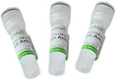 yhbb,Creative Biomart_specification/price/image_Bio-Equip in China