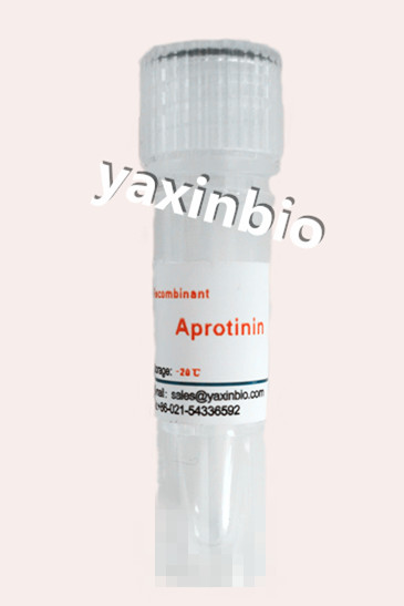 Recombinant Aprotinin,shanghai yaxin_specification/price/image_Bio ...