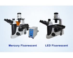 Inverted Fluorescence Microscope for routine live cell laboratory,Micro ...
