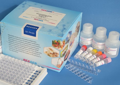 REAGEN™BTS Strip Test Kit,REAGEN LLC_specification/price/image_Bio ...