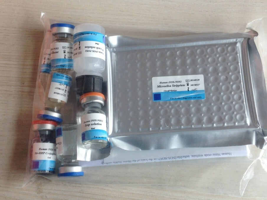 Human Anti-Mullerian Hormone(AMH)ELISA Kit,Span Biotech Ltd ...