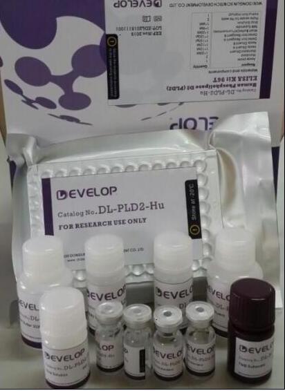 Human Brain Derived Neurotrophic Factor (BDNF) ELISA Kit,specification ...