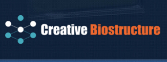 Microbubble Services,Creative Biostructure_specification/price/image_Bio-Equip in China