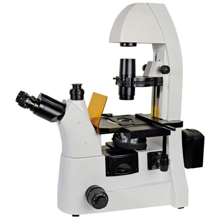 B.G.UV.V Excitation LED light inverted fluorescent microscope ...