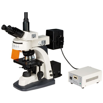 Compound Trinocular lab Upright Epi- Fluorescent Microscope ...