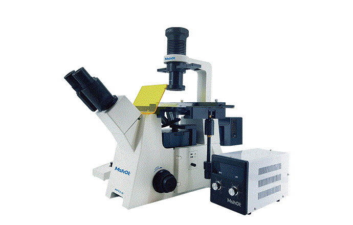 Inverted fluorescence microscope MF53-N,Guangzhou Micro-shot Technology ...