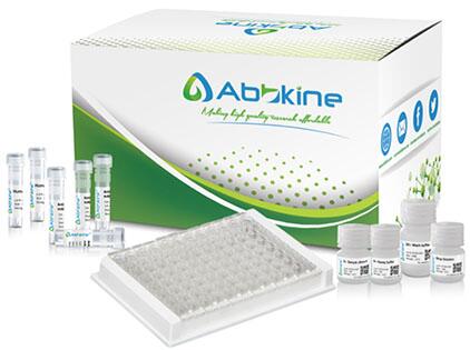 EliKine™ Human FSH ELISA Kit,Abbkine Scientific Co.Ltd._specification ...